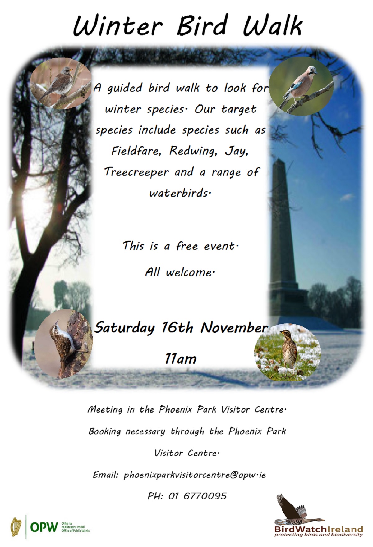 Winter Bird Walk | Phoenix Park