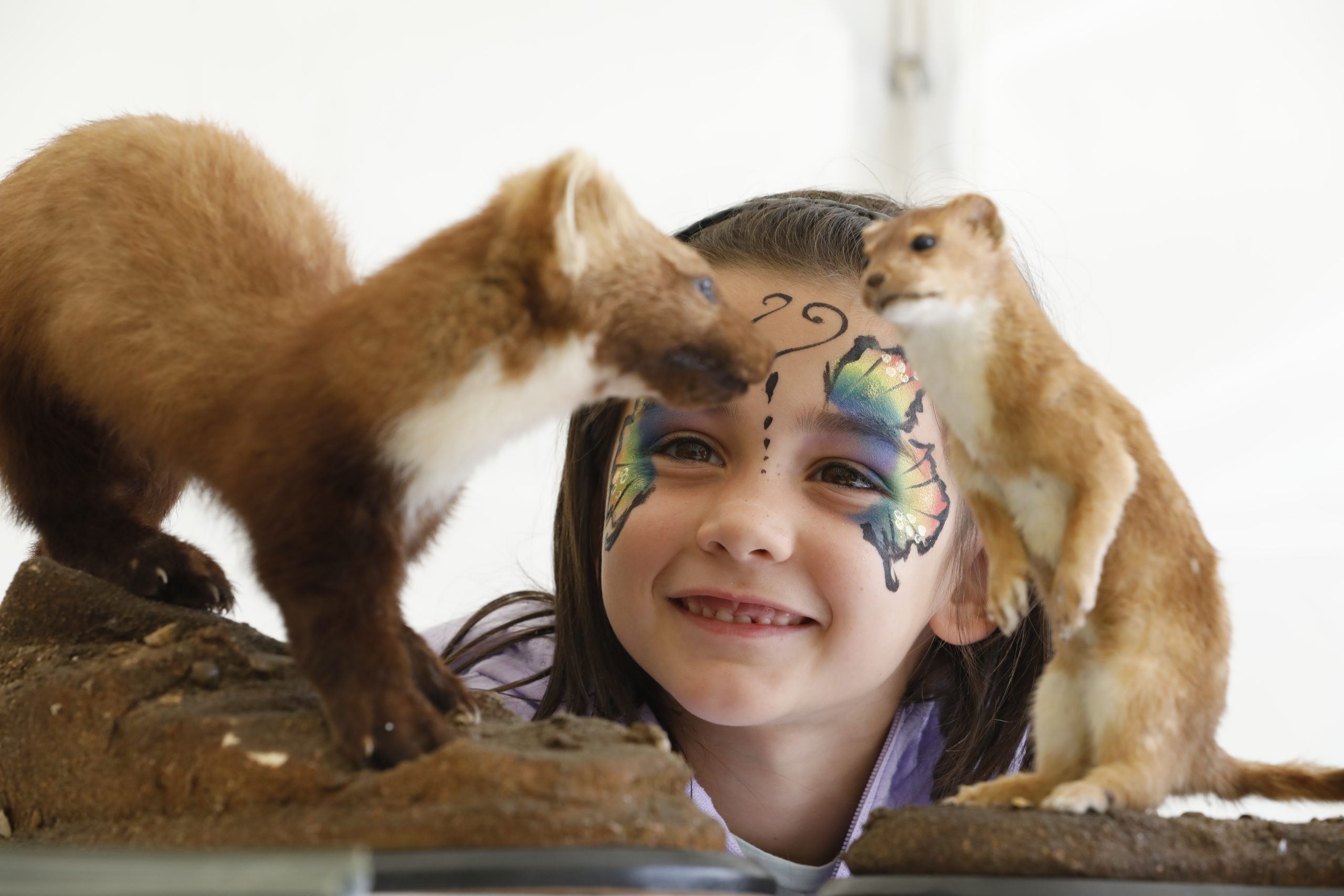 Phoenix Park Biodiversity Festival and Honey Show | Phoenix Park